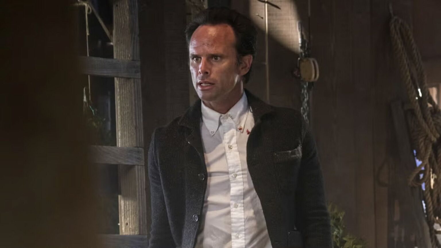 8 filmes e séries com Walton Goggins, o Ghoul de Fallout » Brain_ing ...